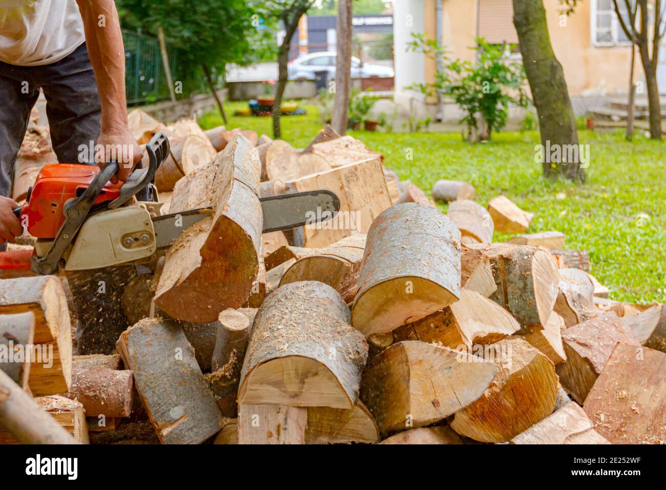 Lumberjack is chopping tree trunks in the yard using professional ...