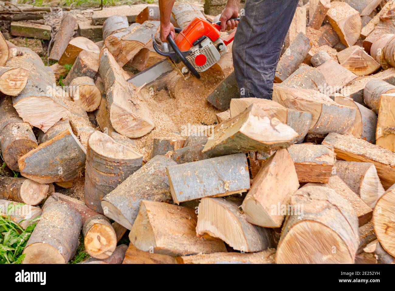 Lumberjack is chopping tree trunks in the yard using professional ...