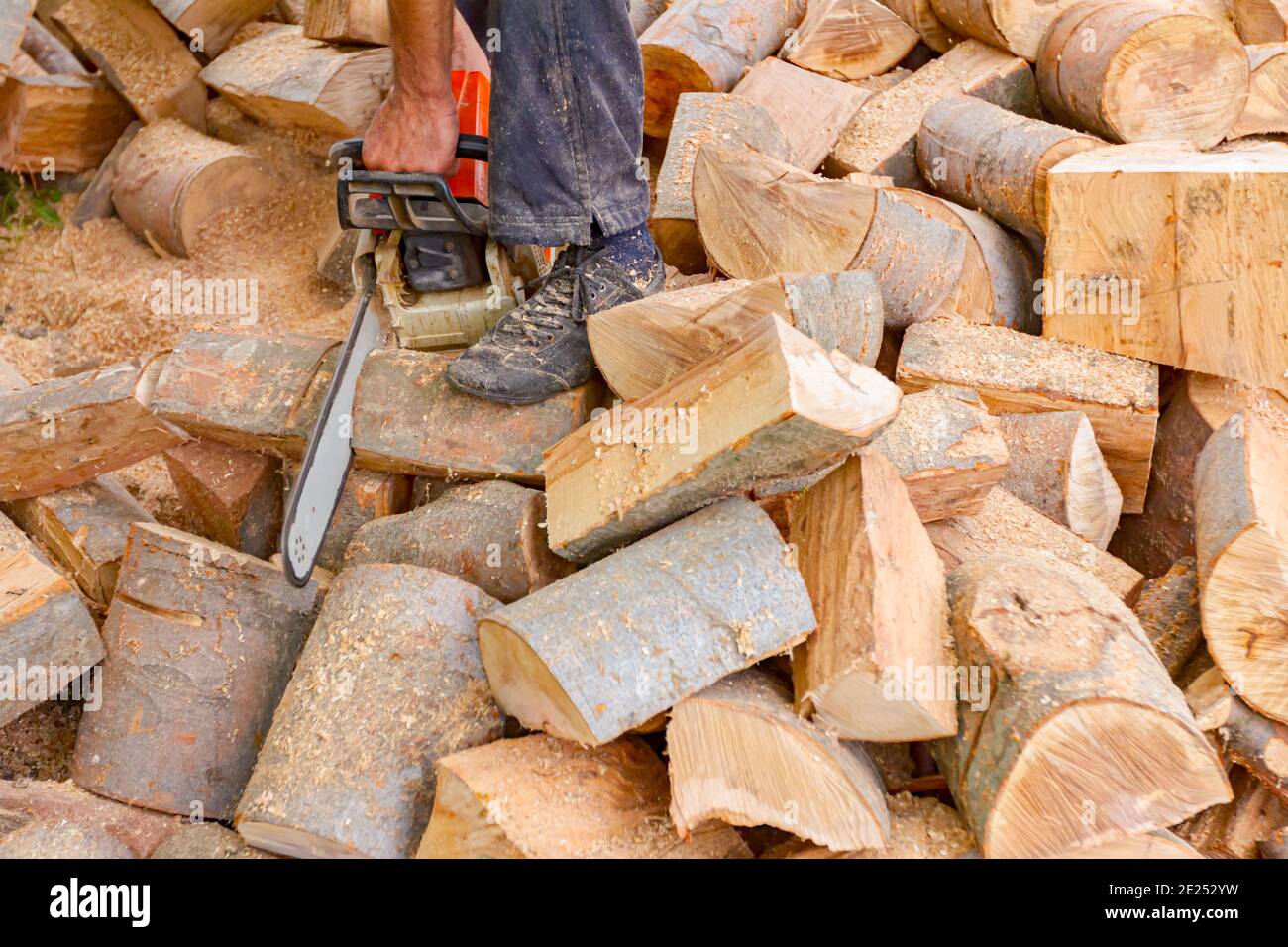 Lumberjack is chopping tree trunks in the yard using professional ...
