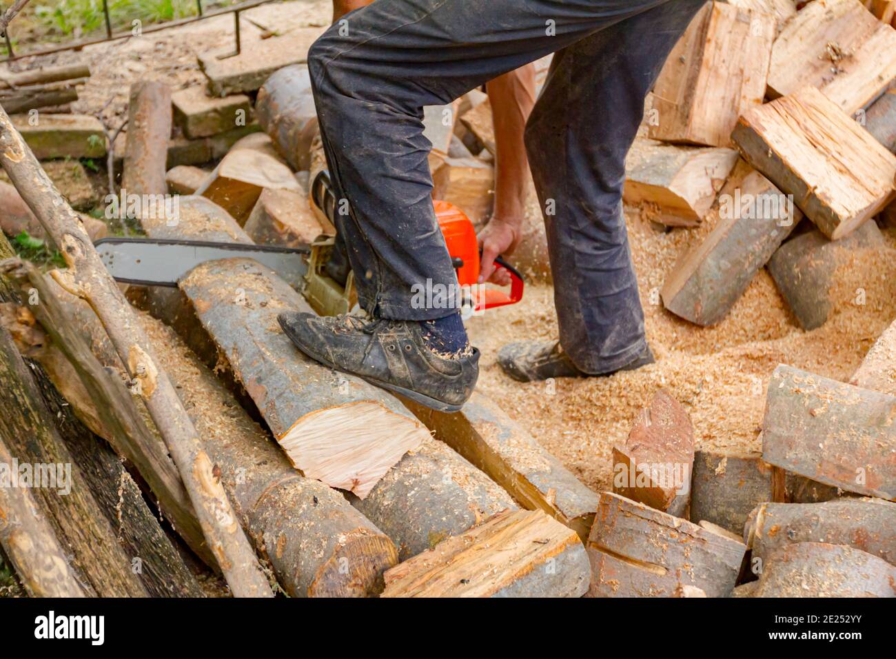 Lumberjack is chopping tree trunks in the yard using professional ...