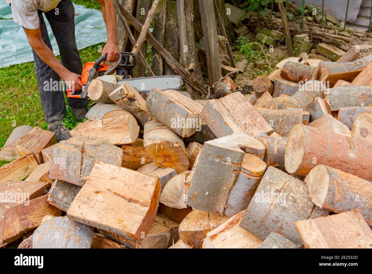 Lumberjack is chopping tree trunks in the yard using professional ...