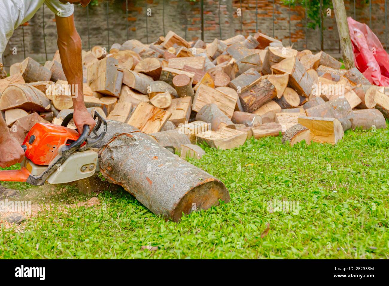 Lumberjack is chopping tree trunks in the yard using professional ...