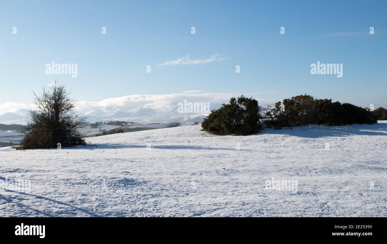 Winter snow scene (UK Weather Stock Photo - Alamy