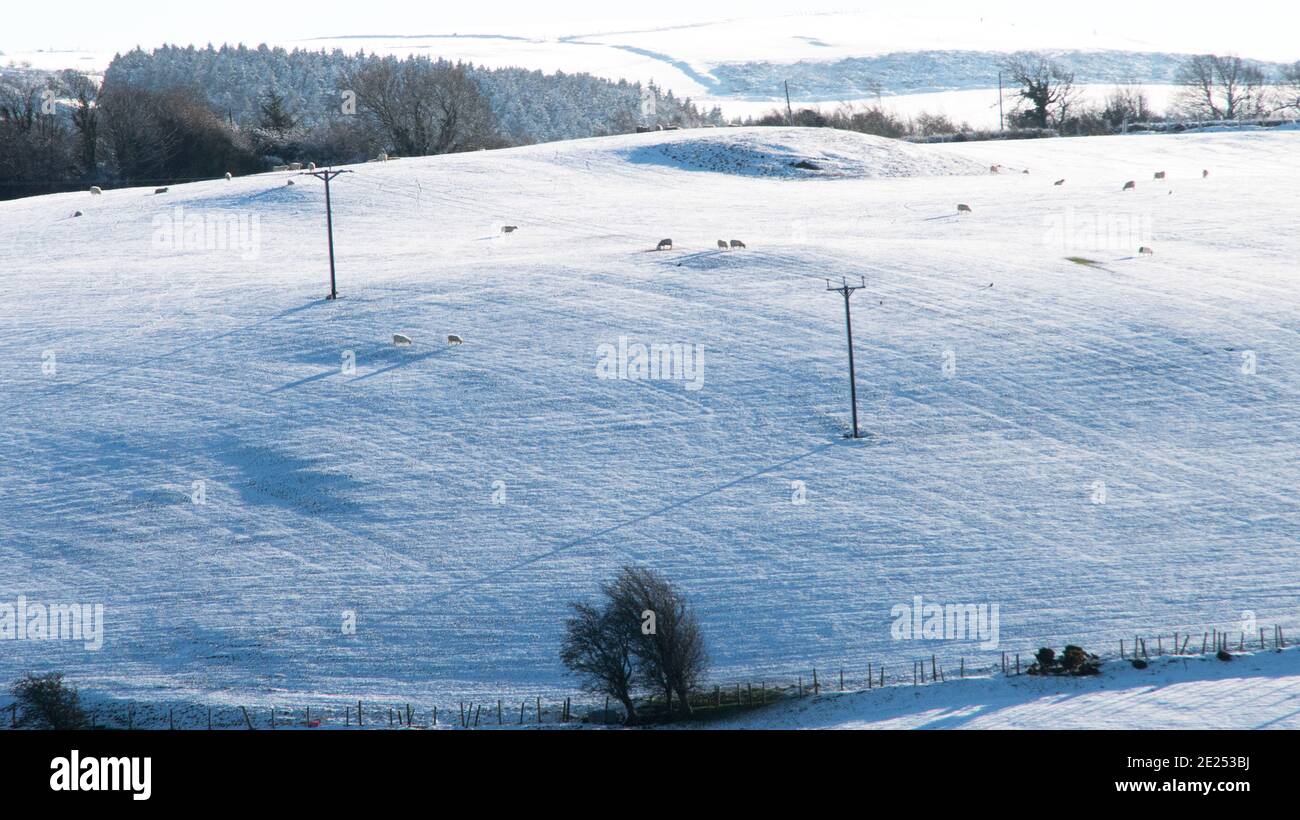Winter snow scene (UK Weather Stock Photo - Alamy