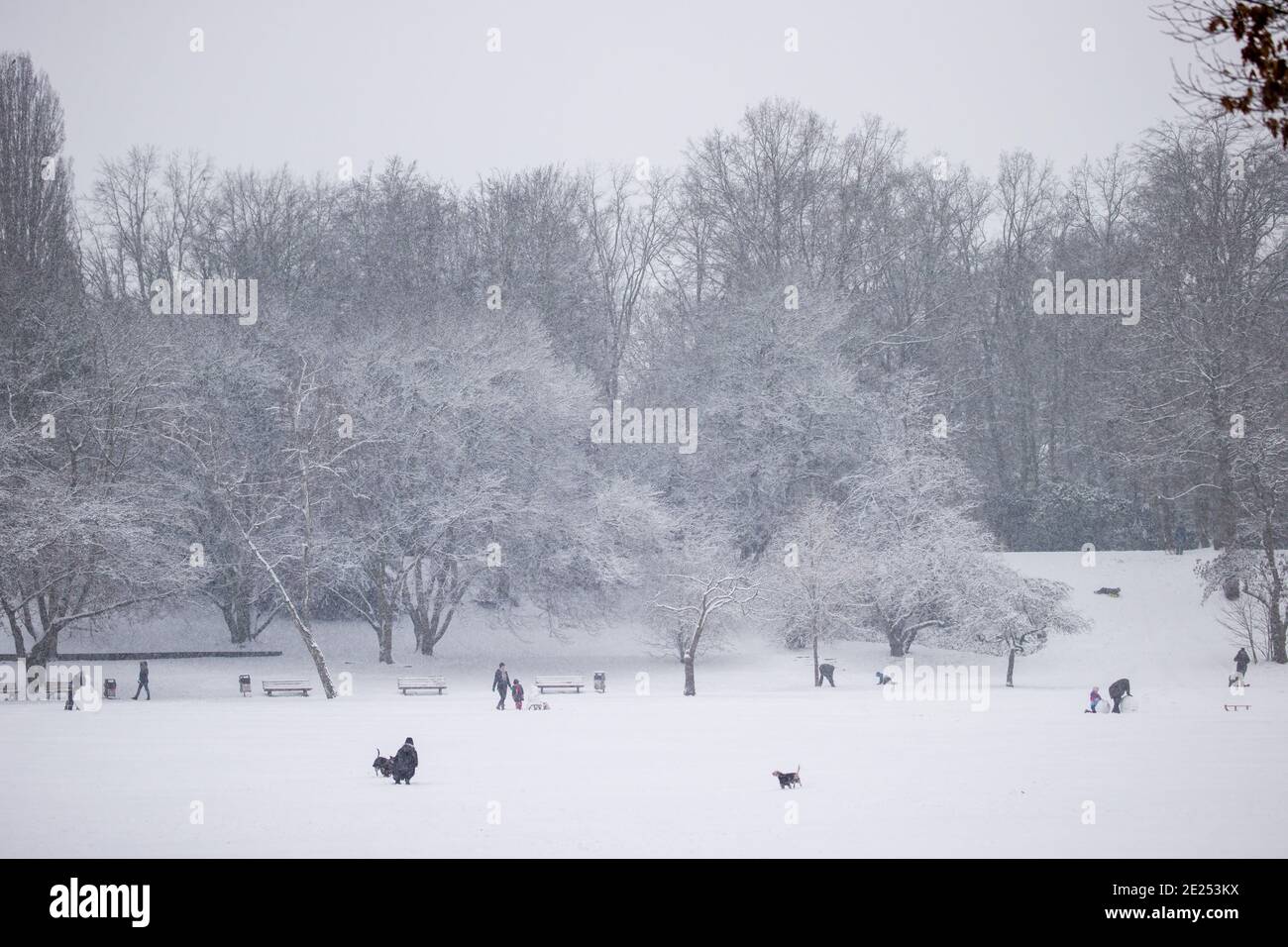 Nuremberg, Germany. 12th Jan, 2021. Adults and children enjoy the ...