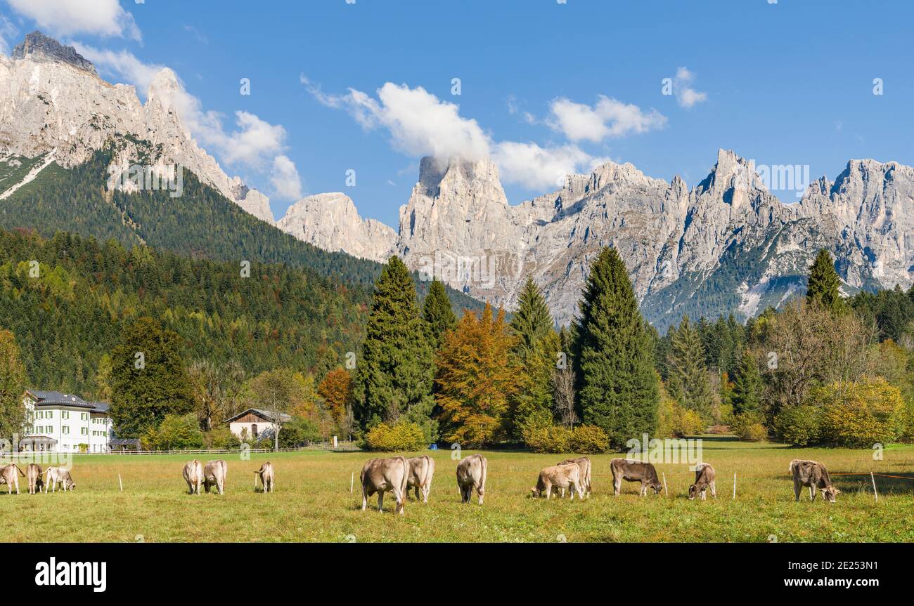 Valle del Canali in the mountain range Pale di San Martino, part of ...