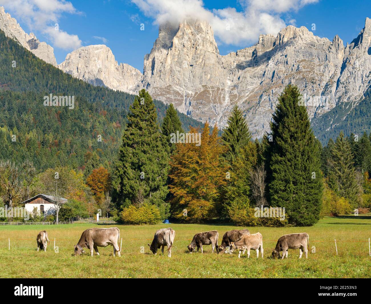 Valle del Canali in the mountain range Pale di San Martino, part of ...