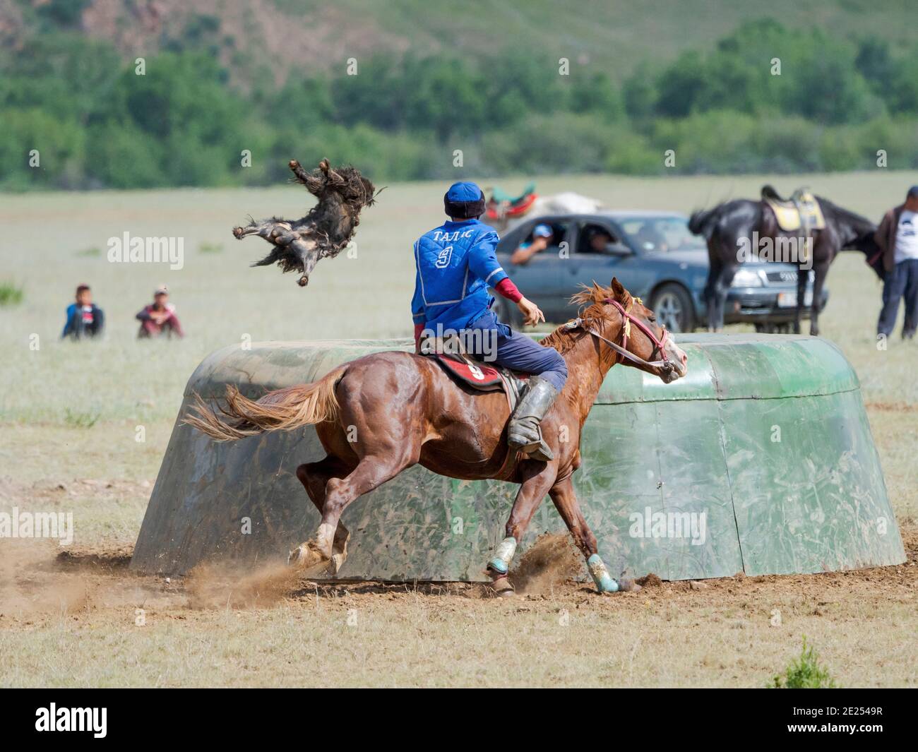 Goat team hi-res stock photography and images - Alamy