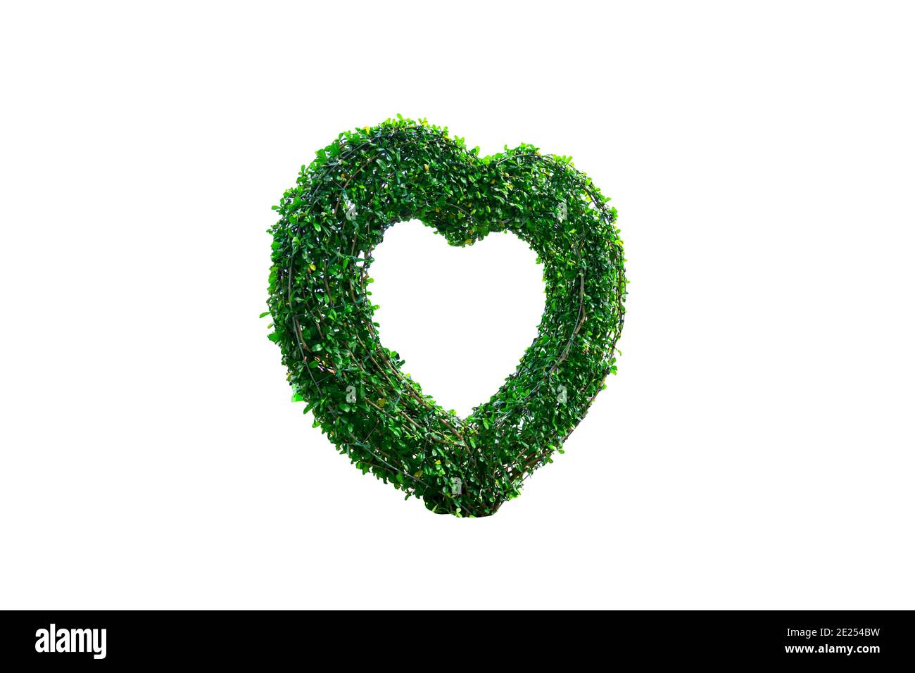 Heart shaped tree isolated on white background Stock Photo - Alamy