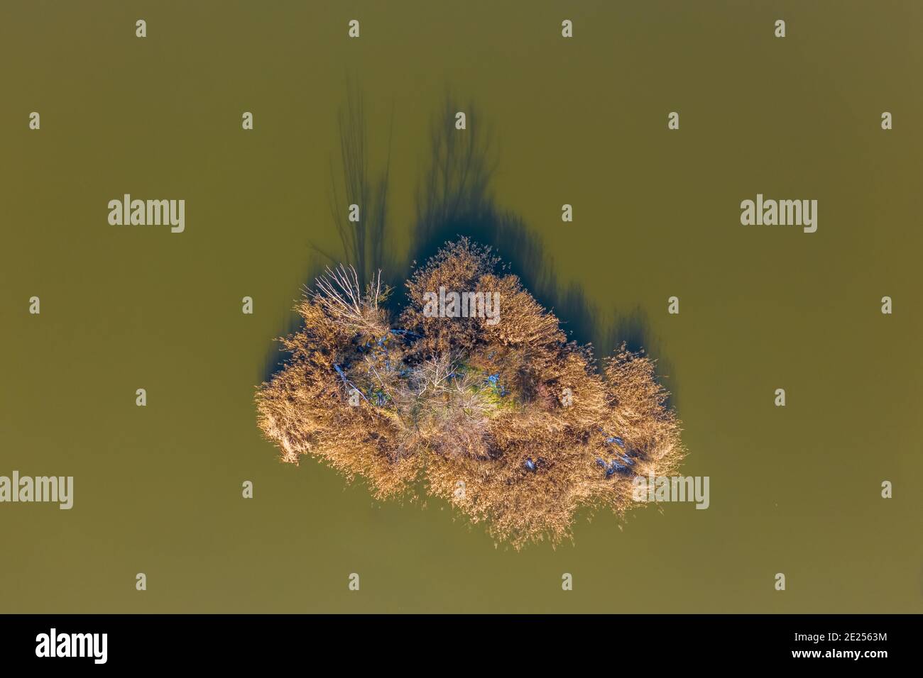 Aerial view of reeds formation in a lake at countryside Stock Photo - Alamy
