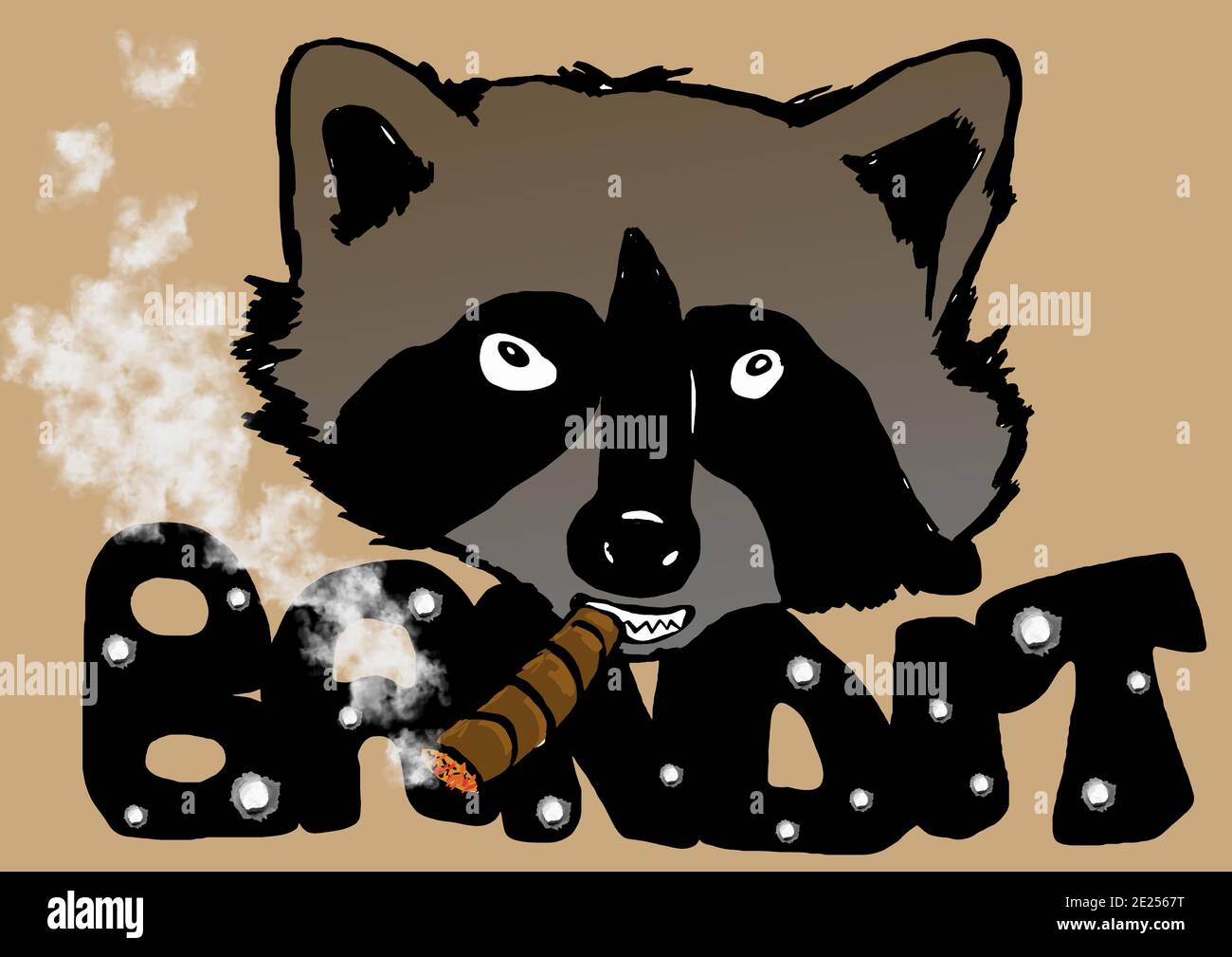 Bandit raccoon with cigar Stock Photo - Alamy