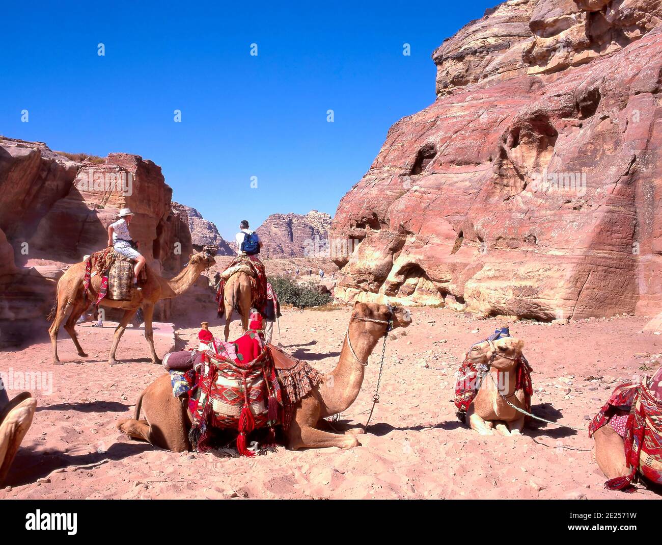 WADI RUM,JORDAN-OCTOBER 12,2004:A group of people tourists on camels in ...