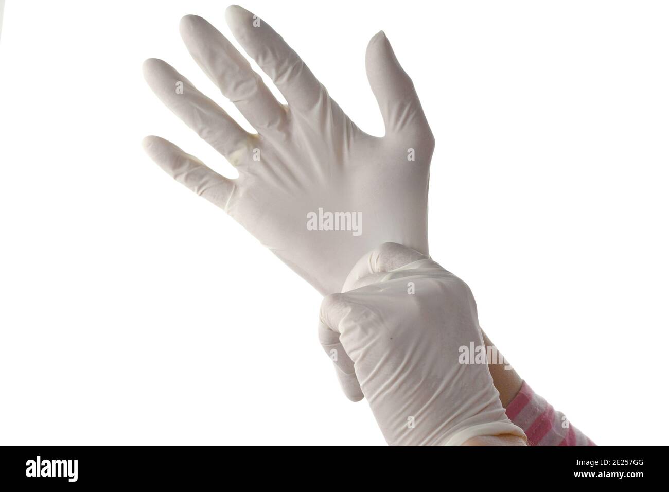 Woman's hands putting on surgical gloves-isolation over white ...
