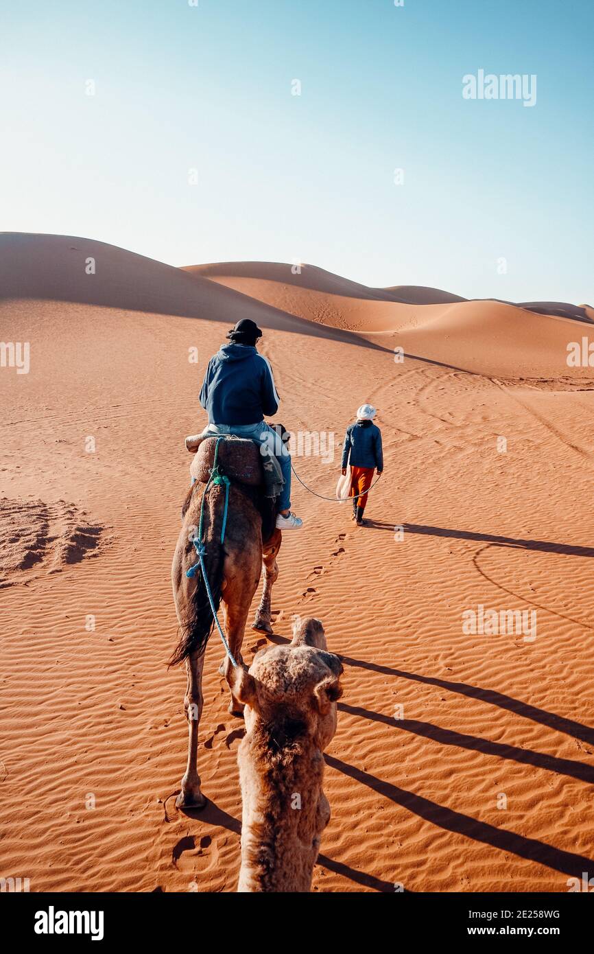 walk around with the camel Stock Photo - Alamy