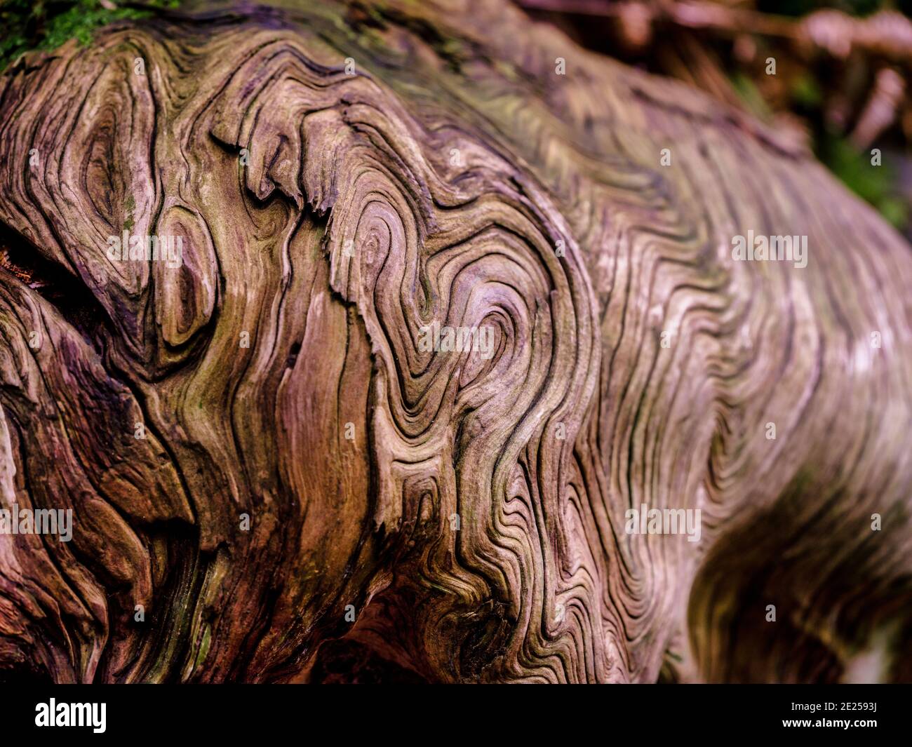 Isobars hi-res stock photography and images - Alamy