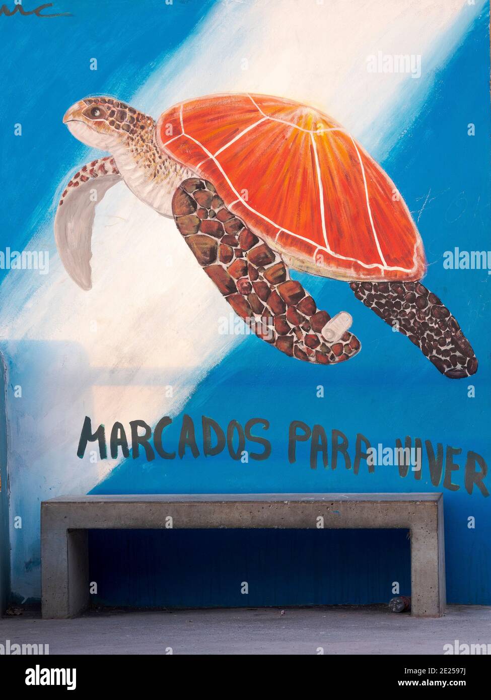 Graffiti turtle hi-res stock photography and images - Alamy