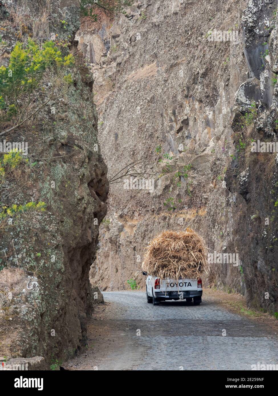 Old mountain road between Porto Novo and Ribeira Grande. Island Santo ...