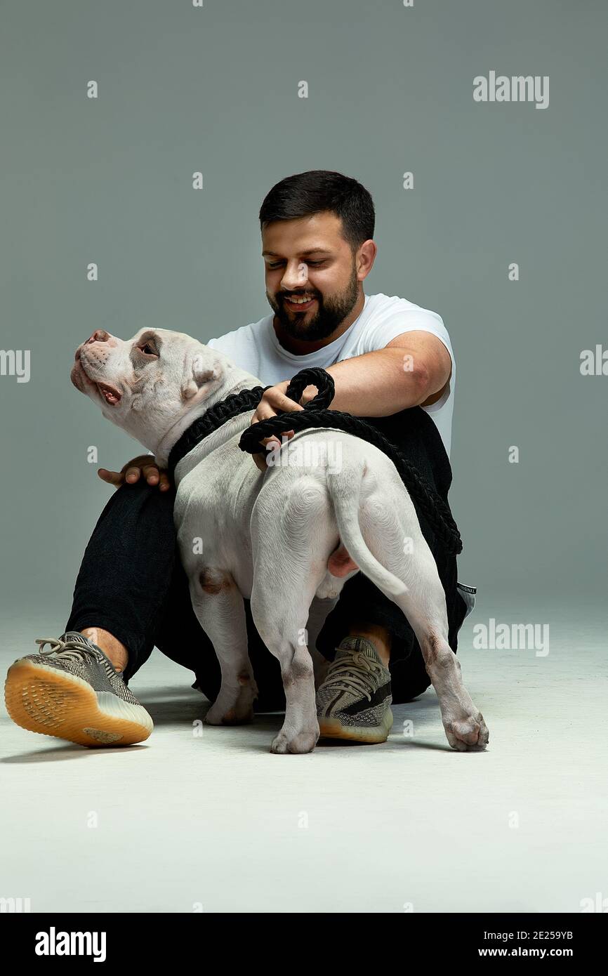 Handsome man and a charming dogs bully. Close-up, indoors. Studio photo ...