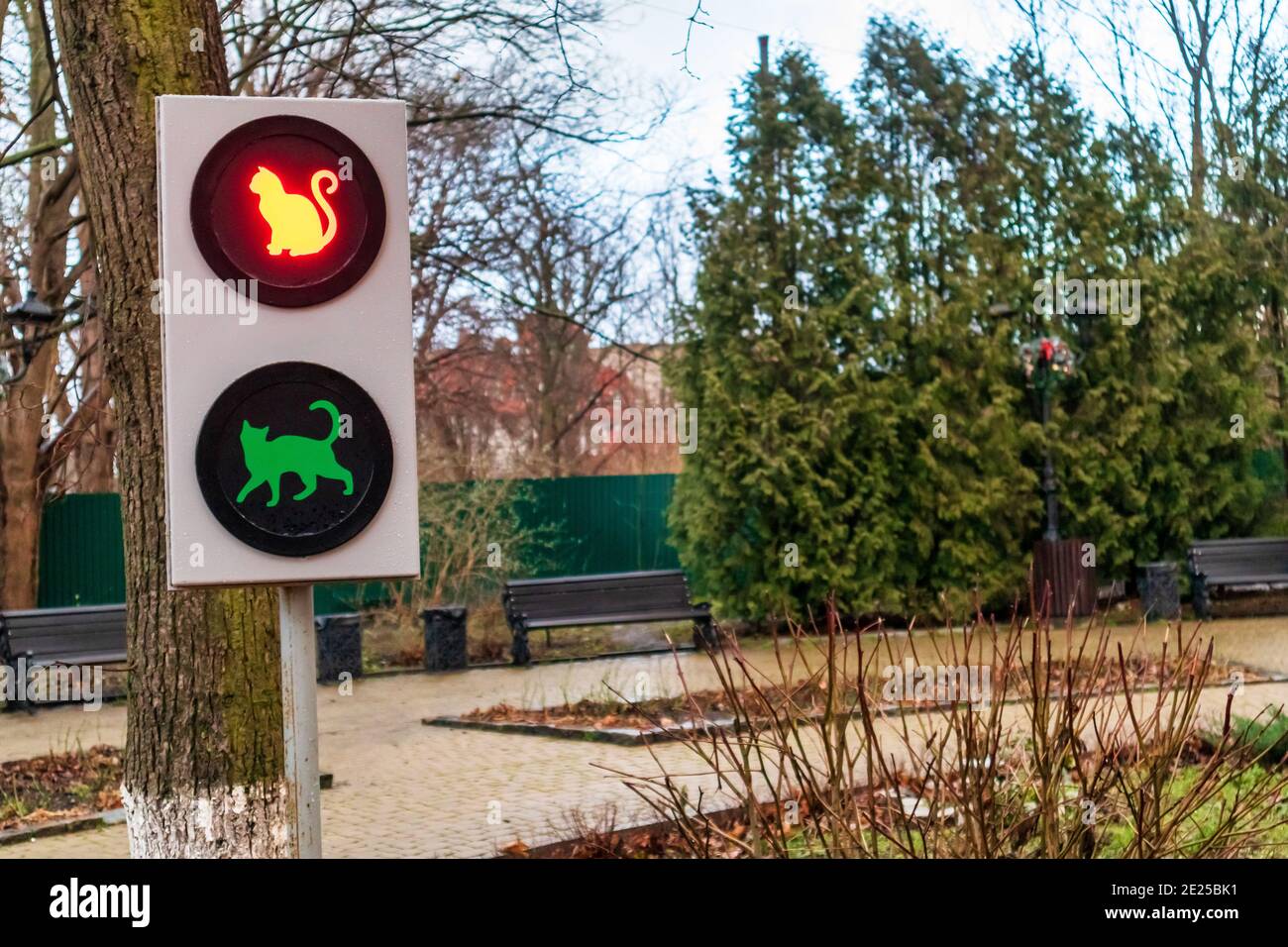 Funny Traffic Lights
