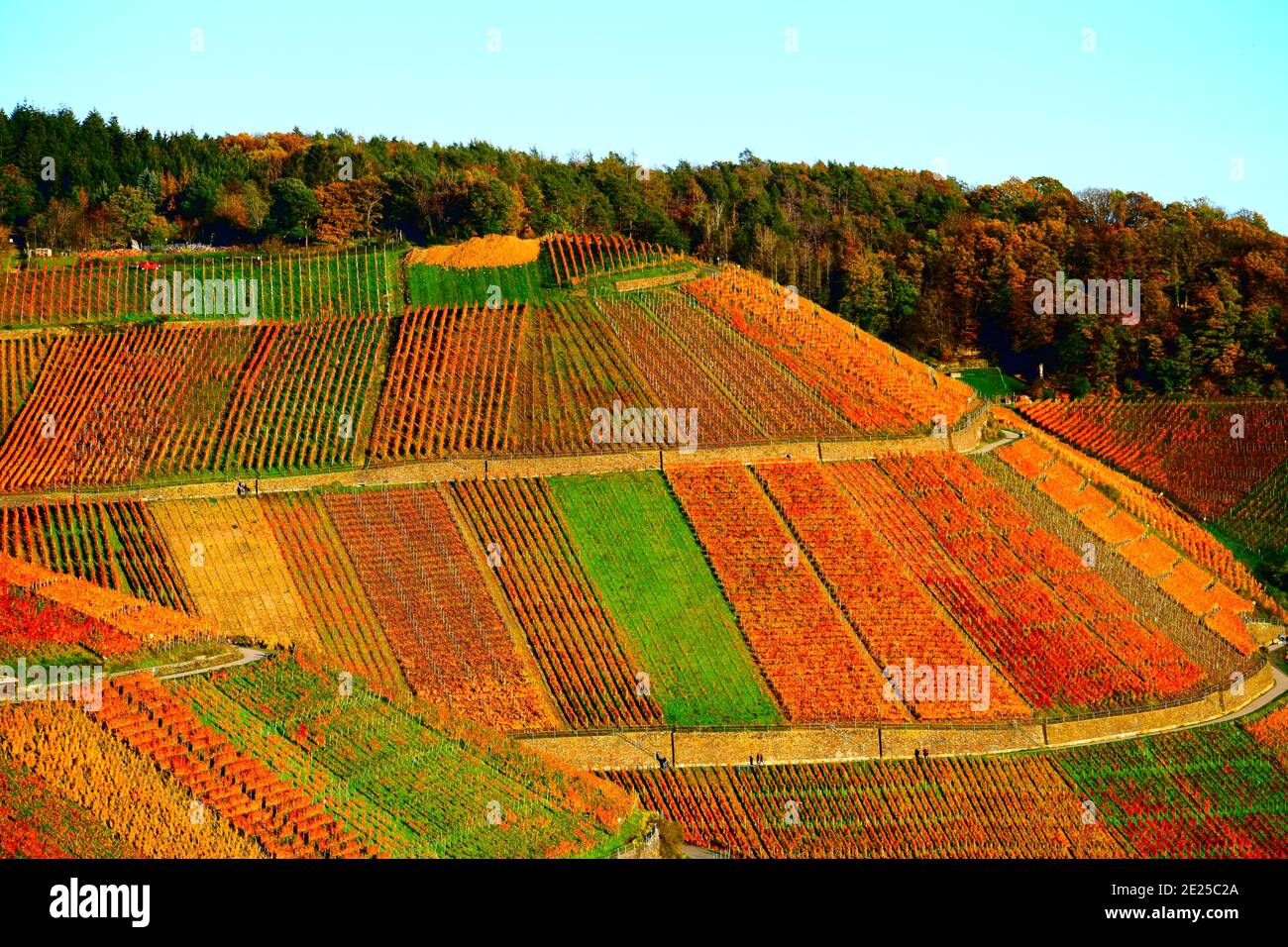 Burning vineyards hi-res stock photography and images - Alamy