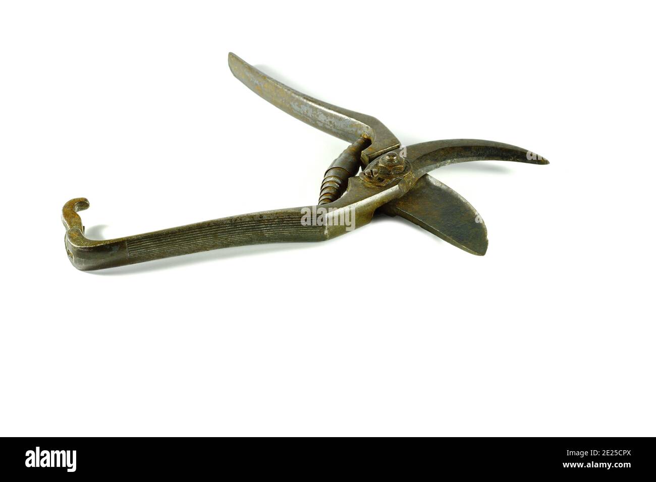 Rusty garden secateurs isolated on white background Stock Photo - Alamy