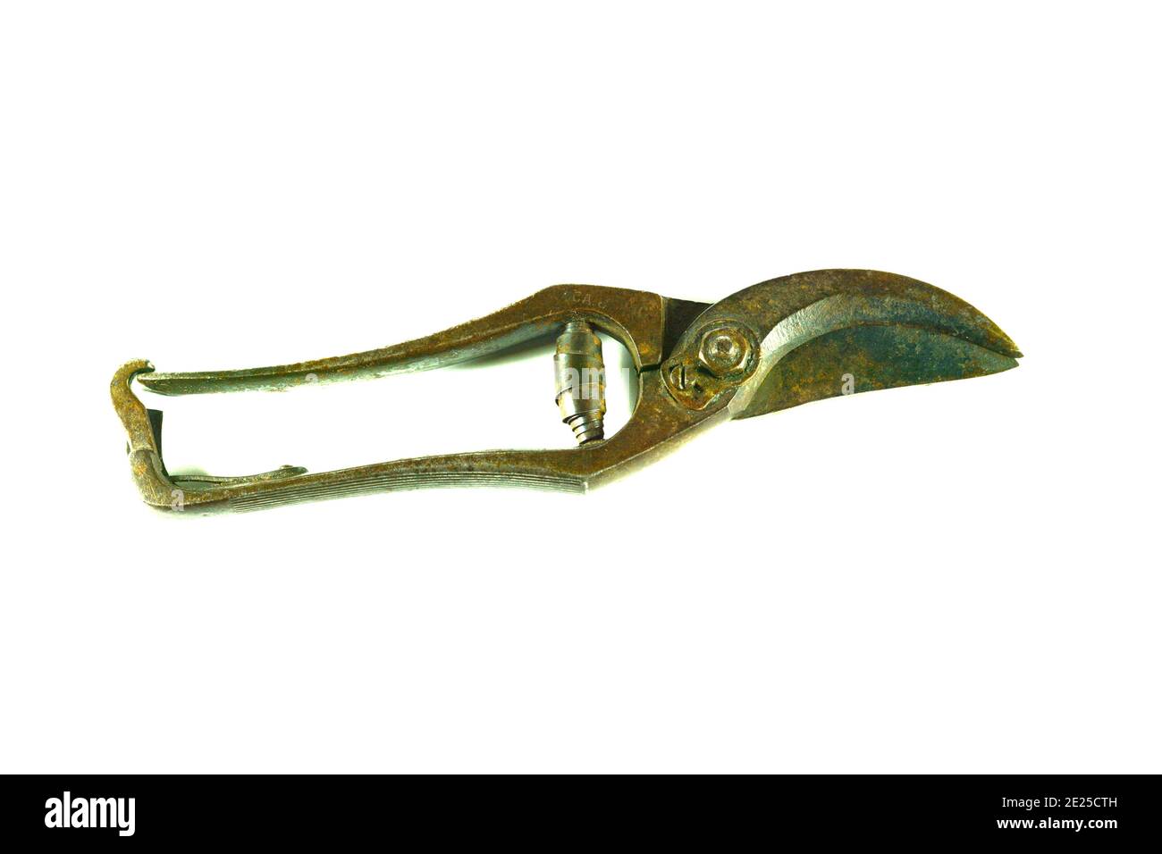 Rusty garden secateurs isolated on white background Stock Photo - Alamy