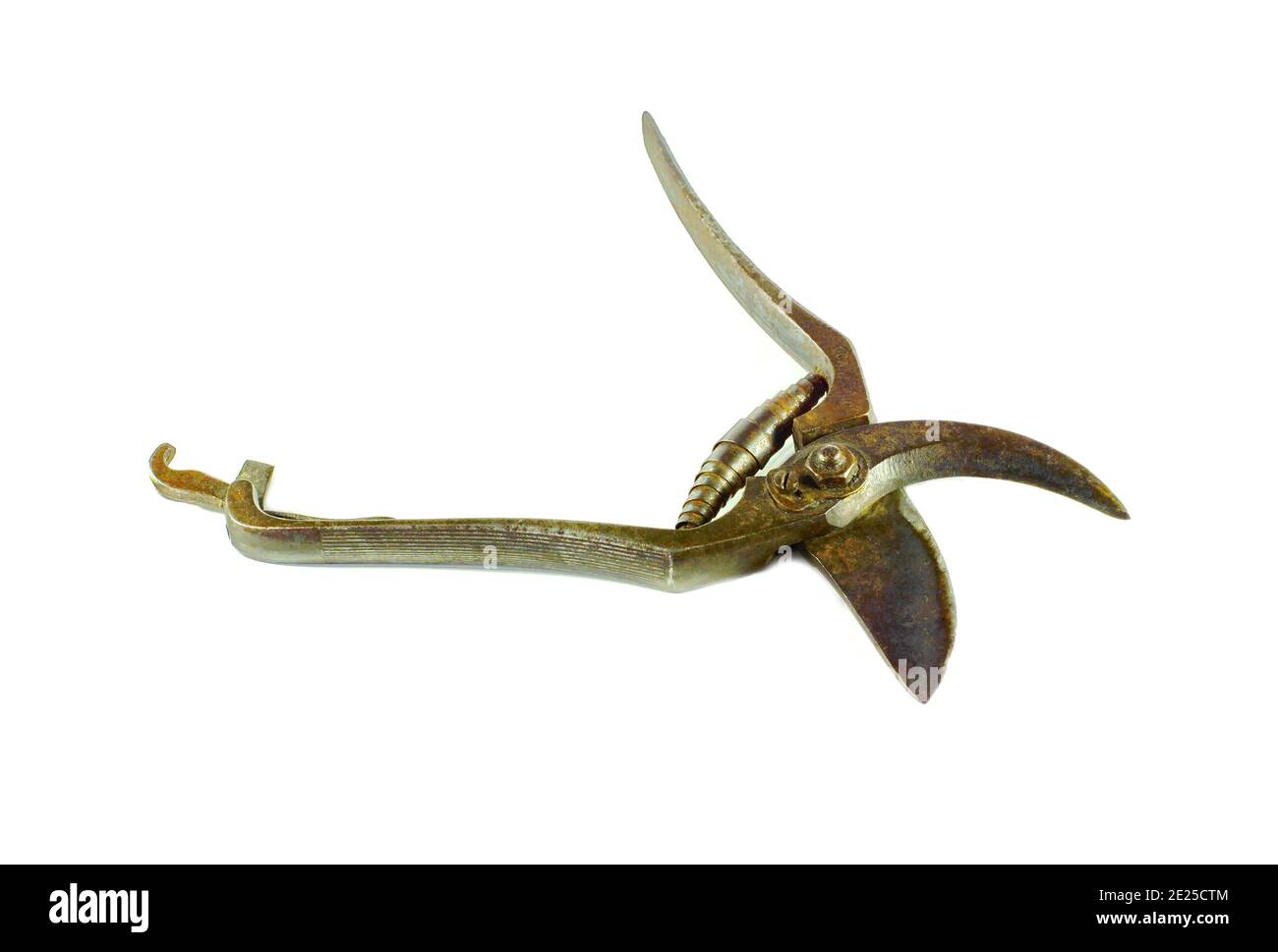 Rusty garden secateurs isolated on white background Stock Photo - Alamy