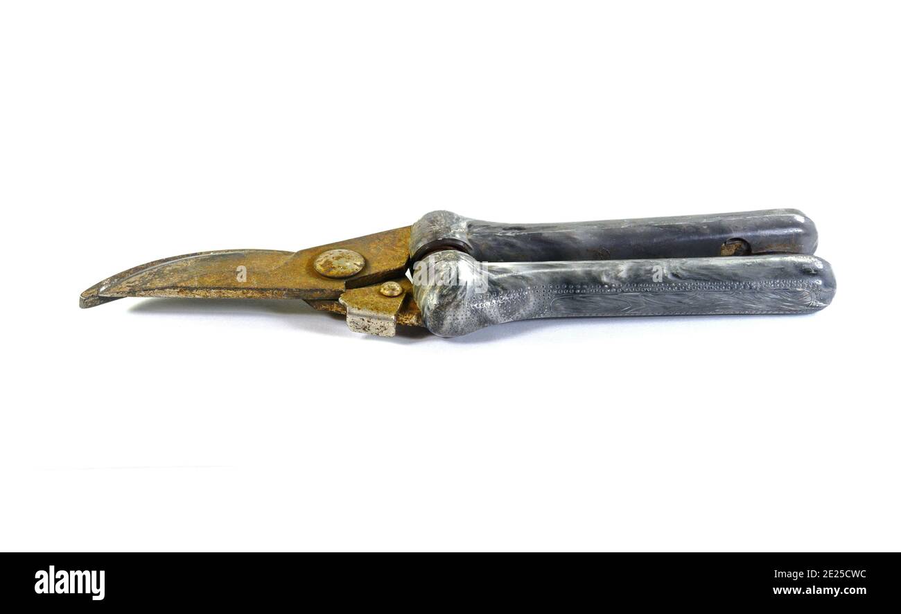 Rusty garden secateurs isolated on white background Stock Photo - Alamy
