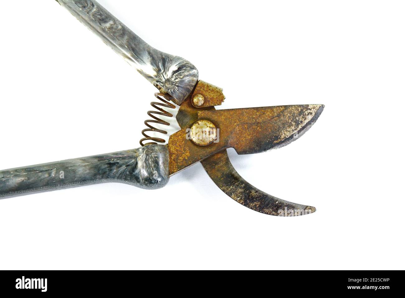 Rusty garden secateurs isolated on white background Stock Photo - Alamy