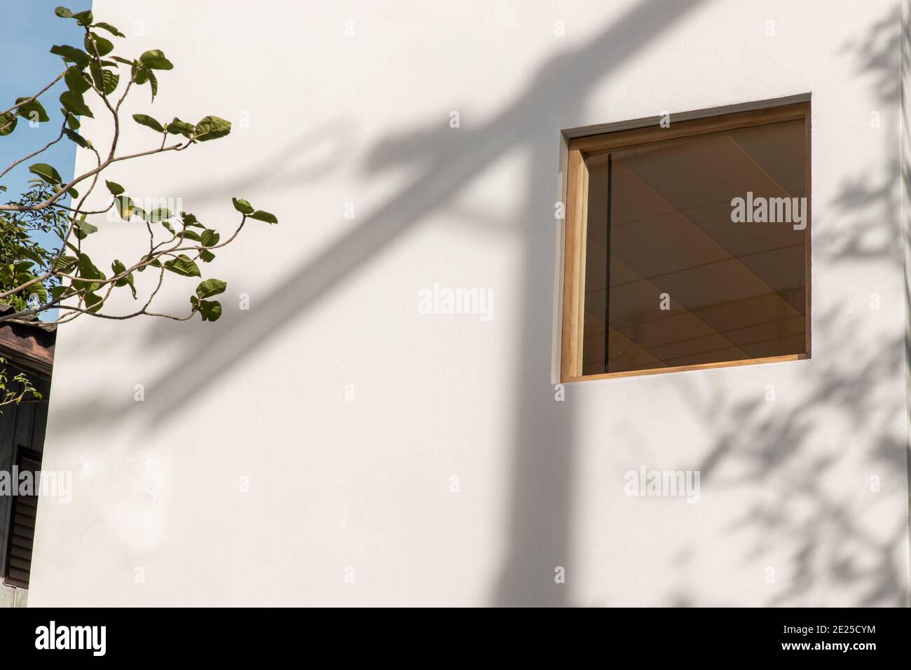 Window house reflected on the glass window and trees on white walls ...