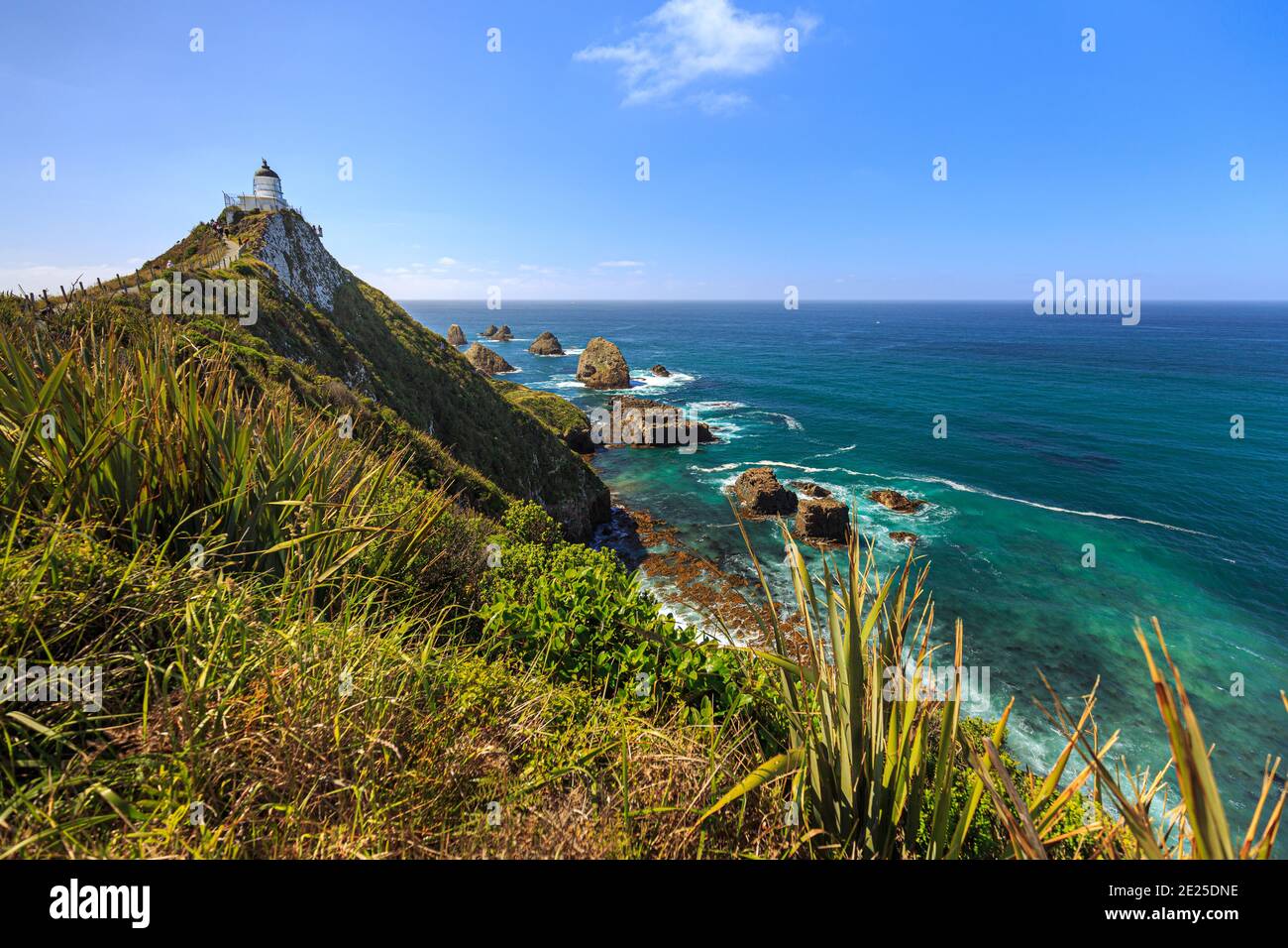 Nugget Point, South Island, New Zealand Stock Photo - Alamy