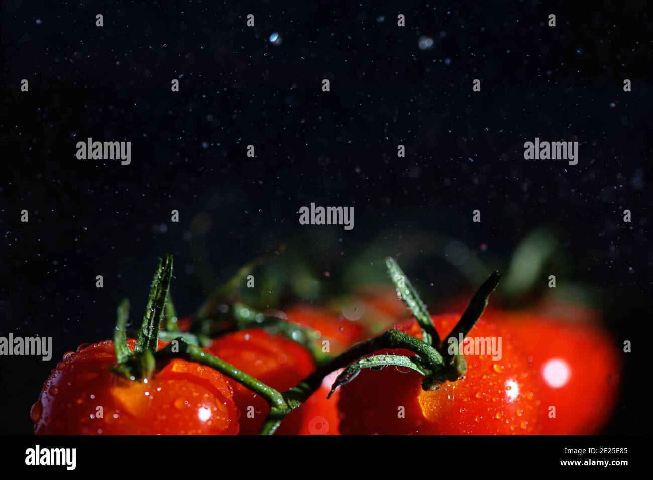 bright red fresh cherry tomatoes on a dark background. healthy food ...
