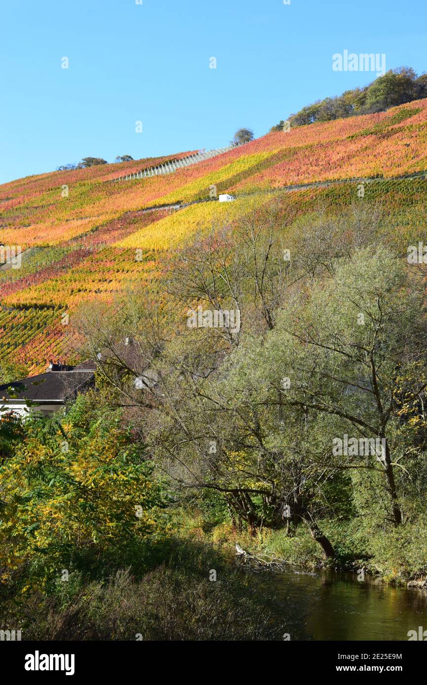 Burning vineyards hi-res stock photography and images - Alamy
