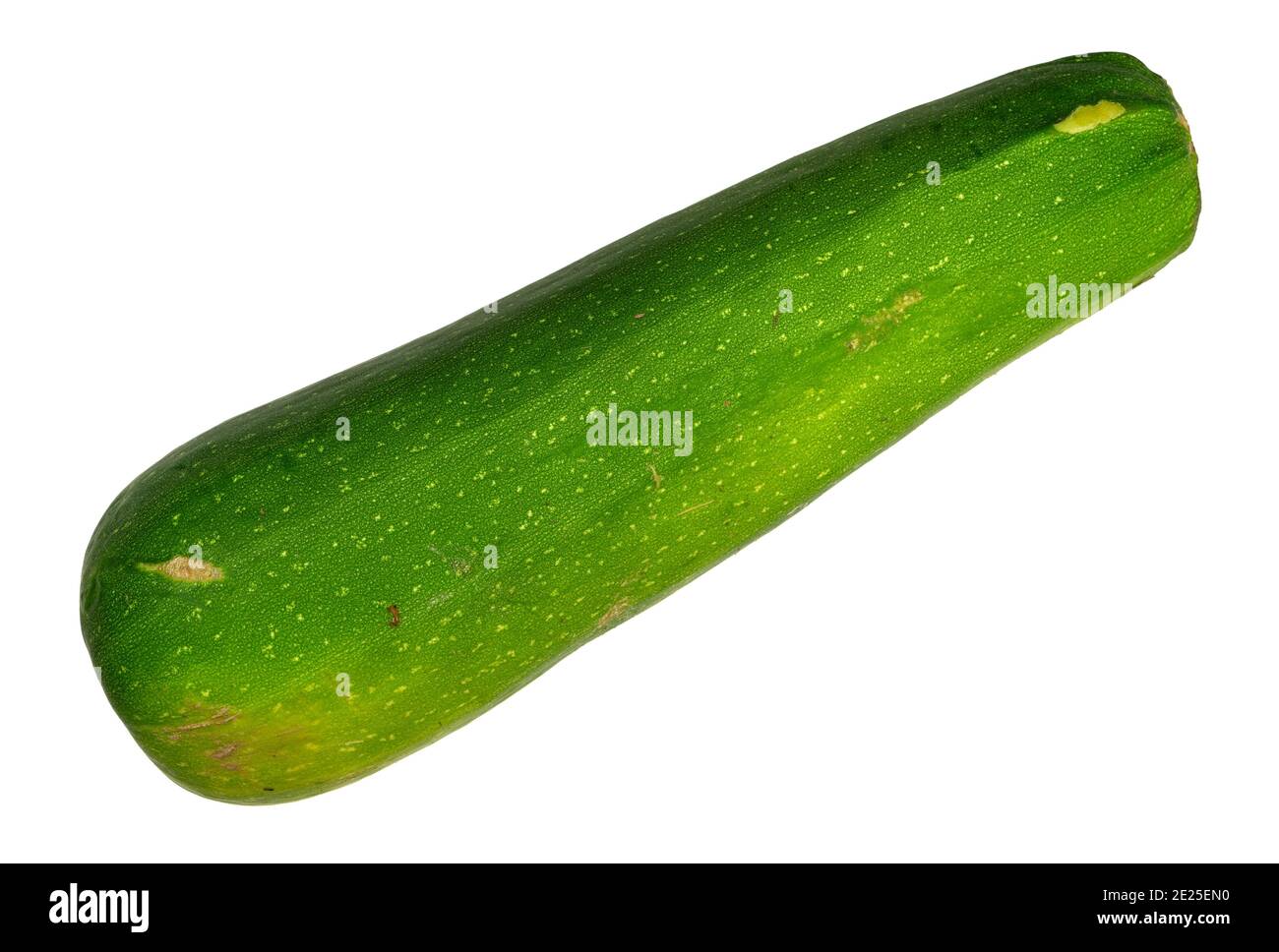 Top view of a home grown green summer squash isolated on a white ...