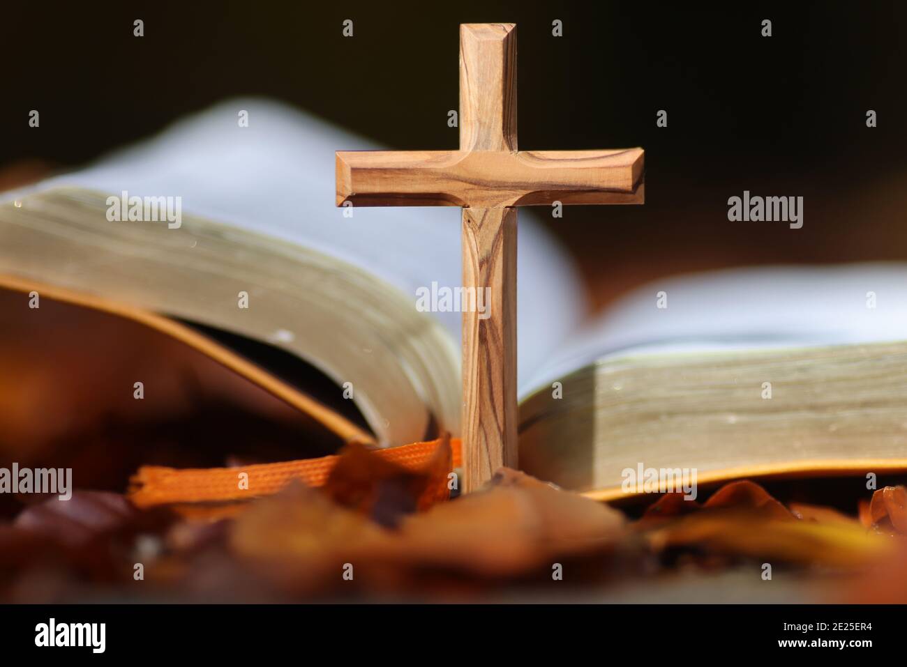 Open bible and christian cross on dry fallen autumn leaves. Faith and ...