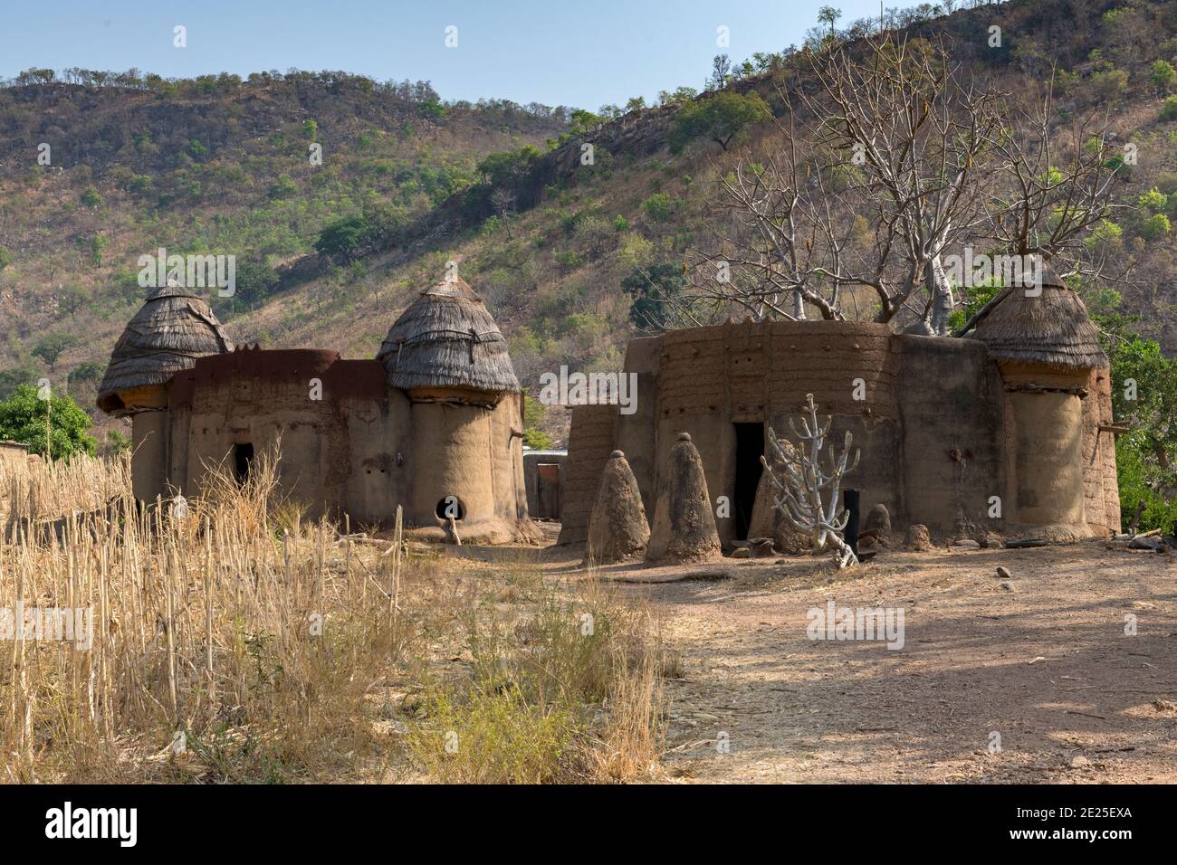 Earth tower house, called « takienta » of Batammariba people in ...