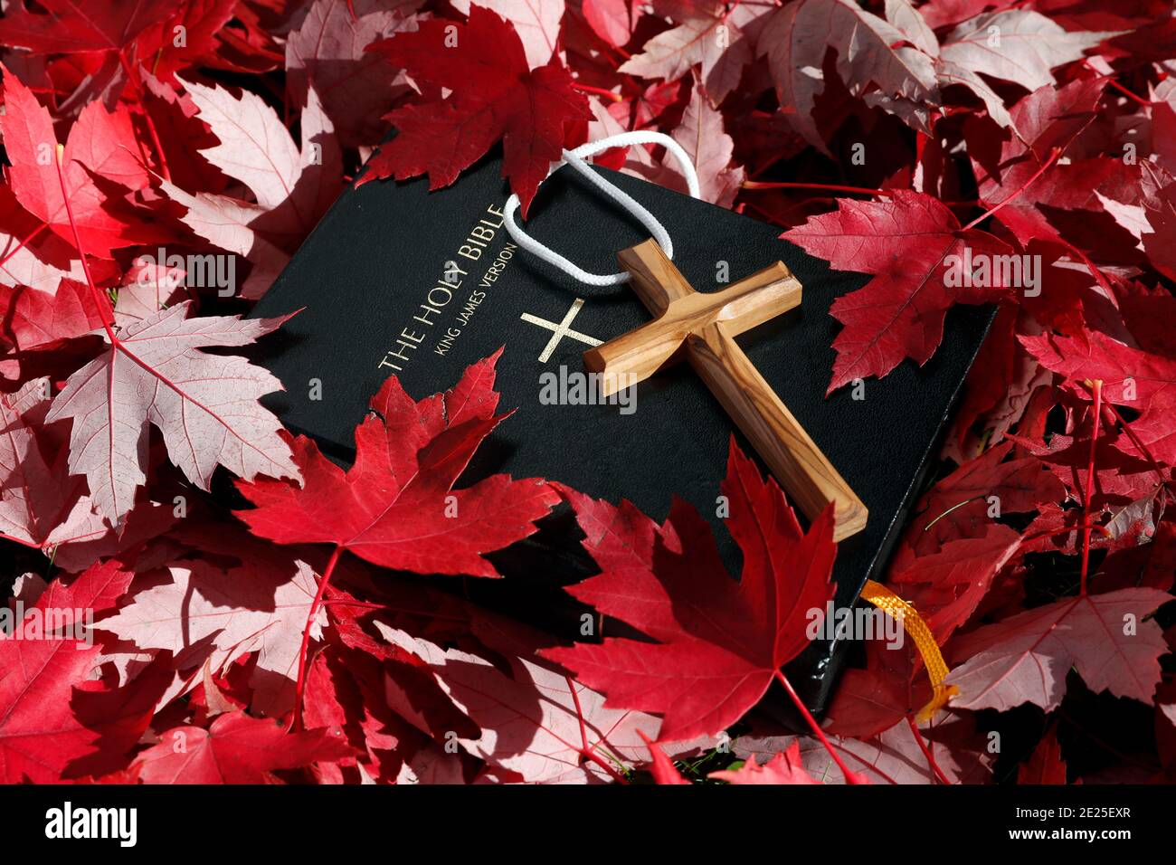 Bible and christian cross on dry fallen autumn leaves. Faith and ...