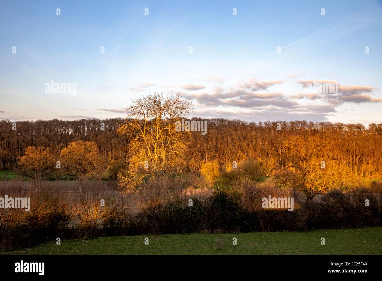 Risle valley landscape, Eure, France Stock Photo - Alamy