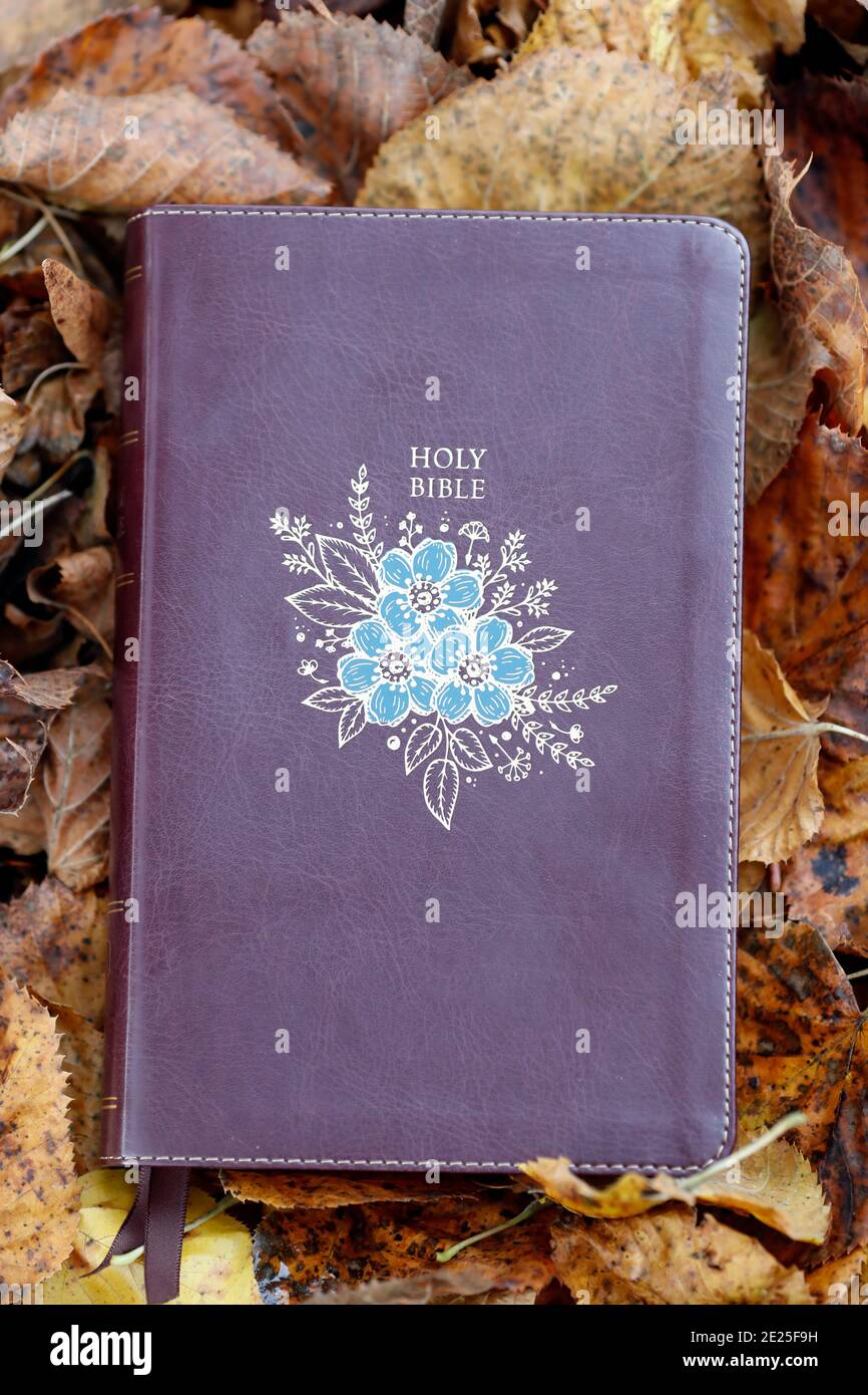 Holy bible on dry fallen autumn leaves. Faith and spirituality. France ...