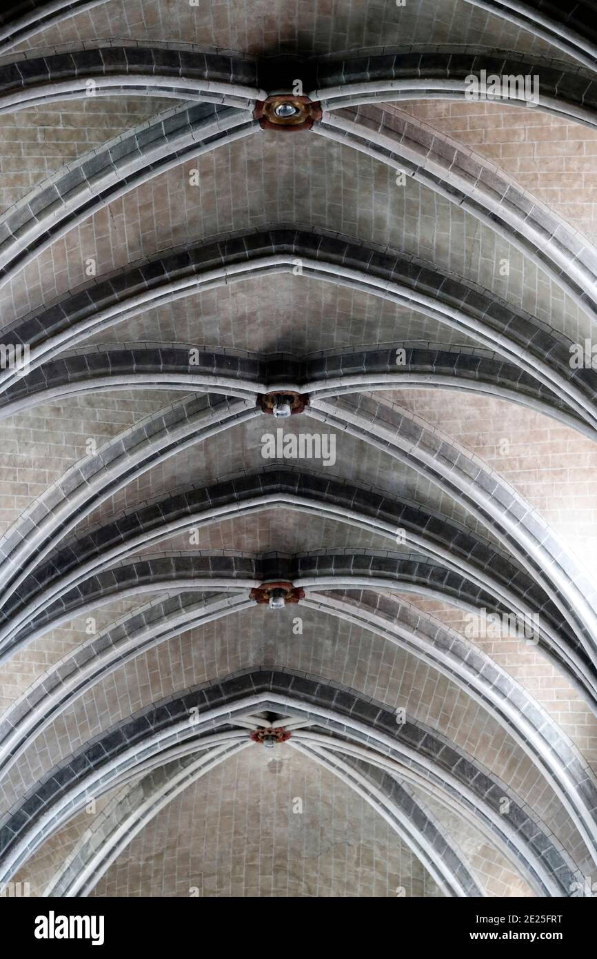 Cathedral of Notre Dame of Lausanne. The nave. Gothic rib vaulting ...