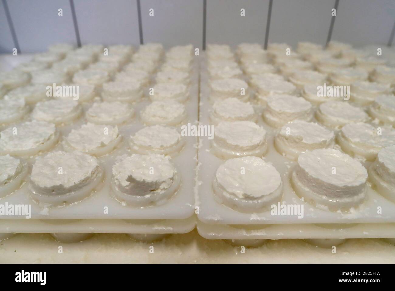 Traditional farm in the French Alps, goat cheese factory. France Stock ...