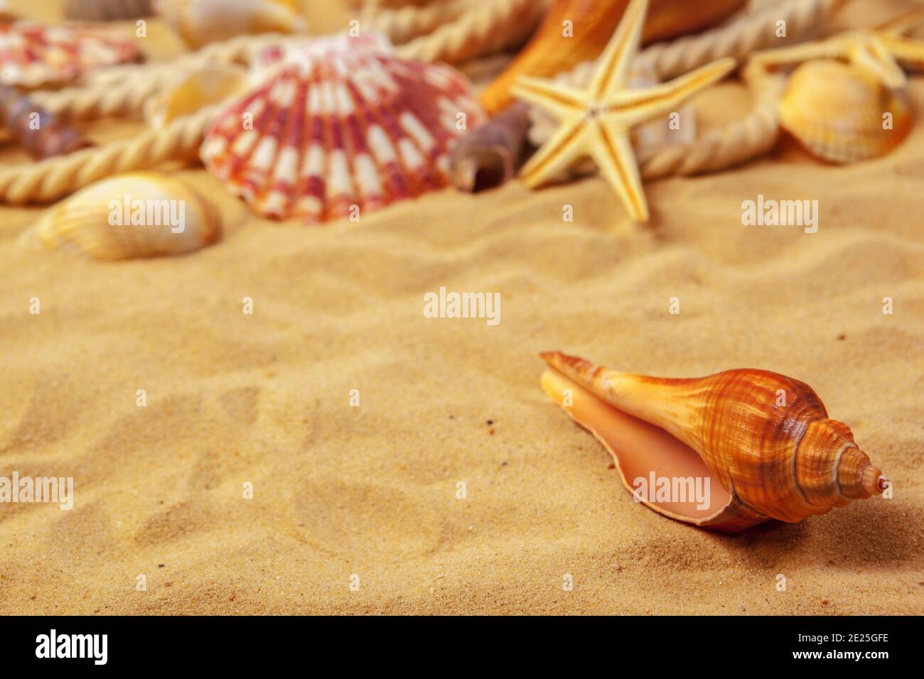 Seashells on sand. Sea summer vacation background Stock Photo - Alamy