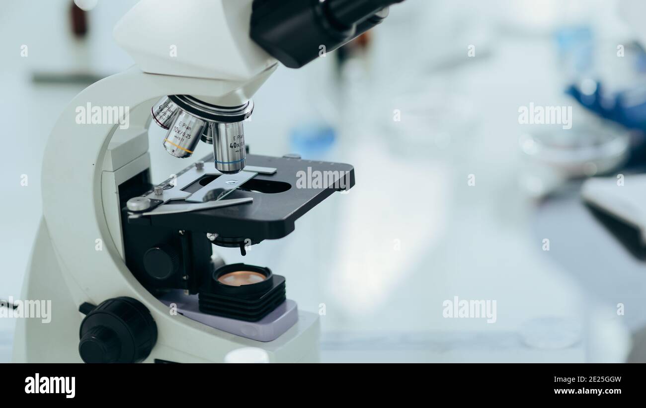 close up. sample on glass under a microscope Stock Photo - Alamy