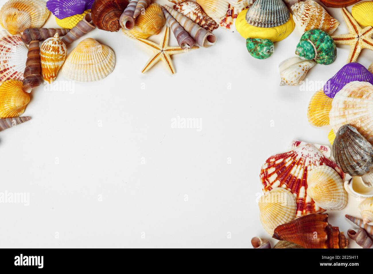 Composition starfish different seashells hi-res stock photography and ...