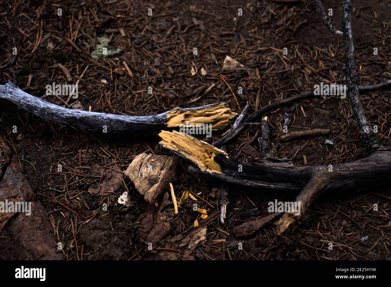 Broken and beautiful hi-res stock photography and images - Alamy