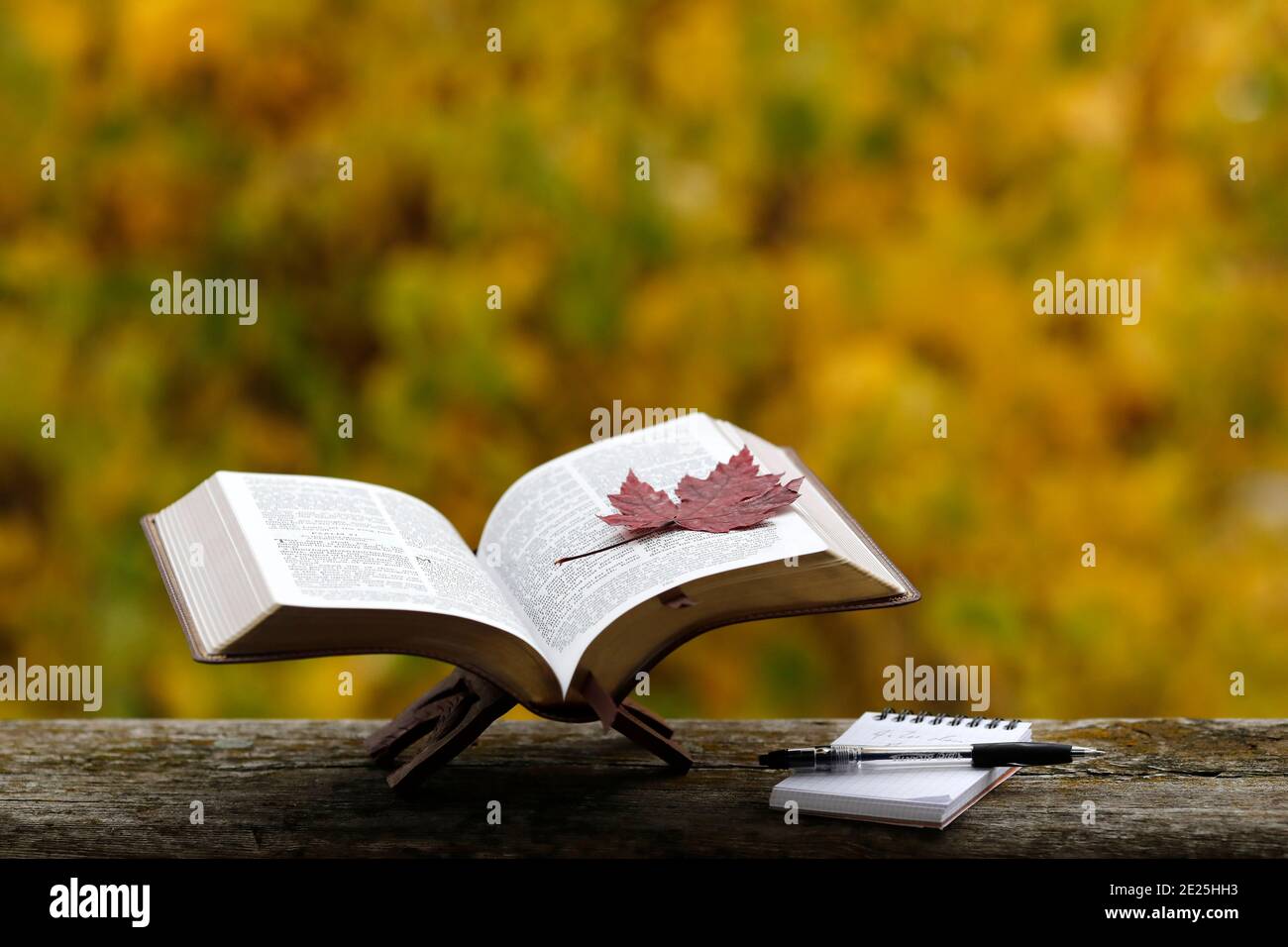 Open bible on a bench with dry fallen autumn leaf. Faith and ...