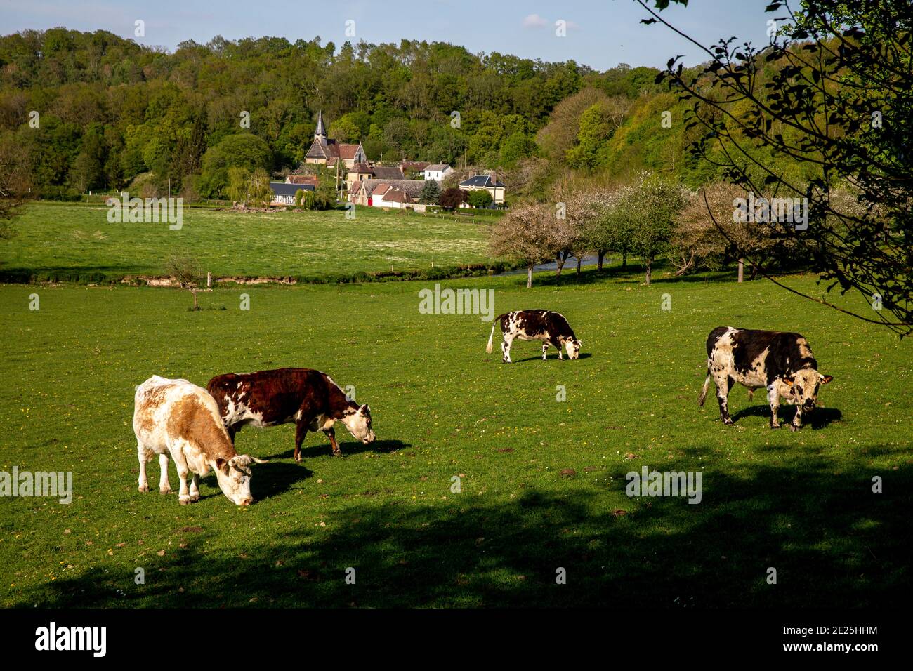 Valley of the risle river hi-res stock photography and images - Alamy
