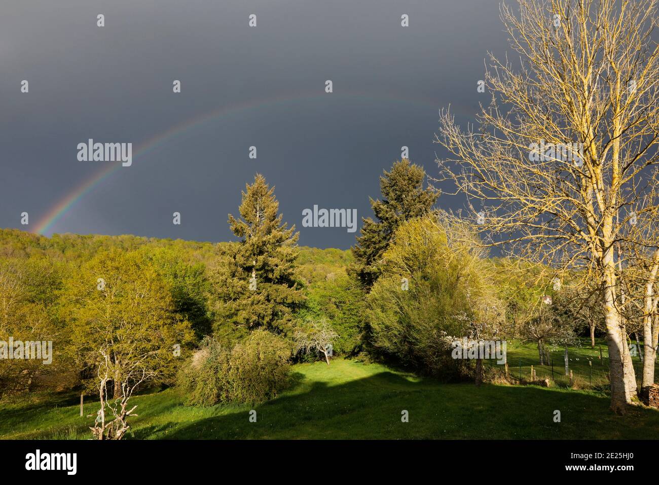 Rainbow over garden forest hi-res stock photography and images - Alamy