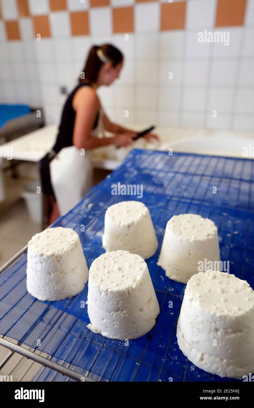 Traditional farm in the French Alps, goat cheese factory. France Stock ...