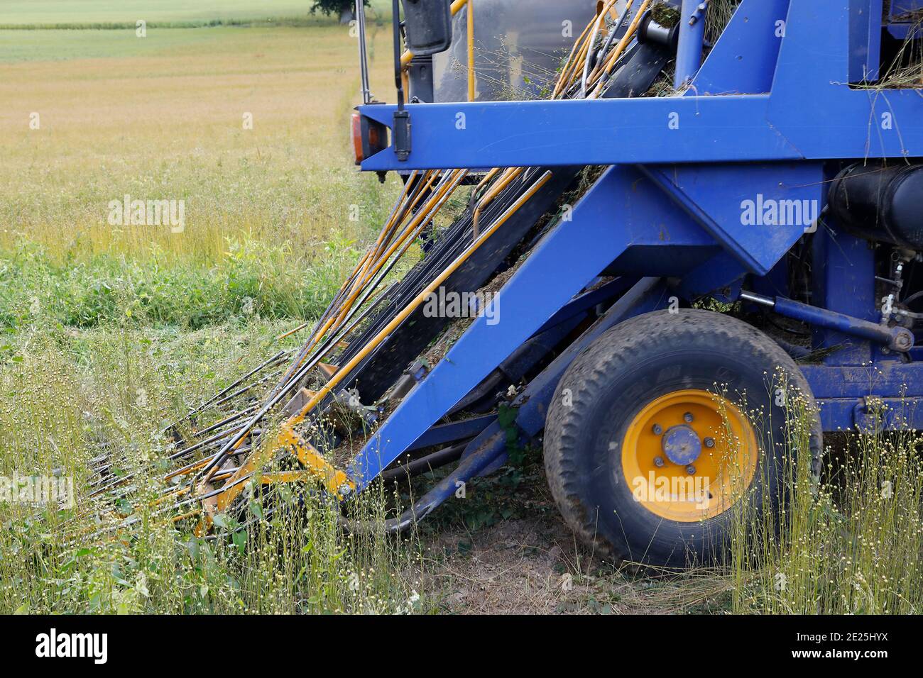 Travail pulling hi-res stock photography and images - Alamy